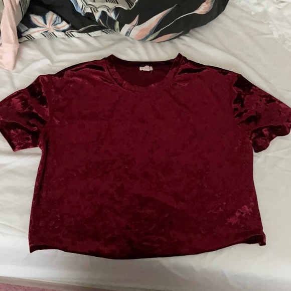Garage | Tops | Garage Red Velvet Crop Top | Poshmark